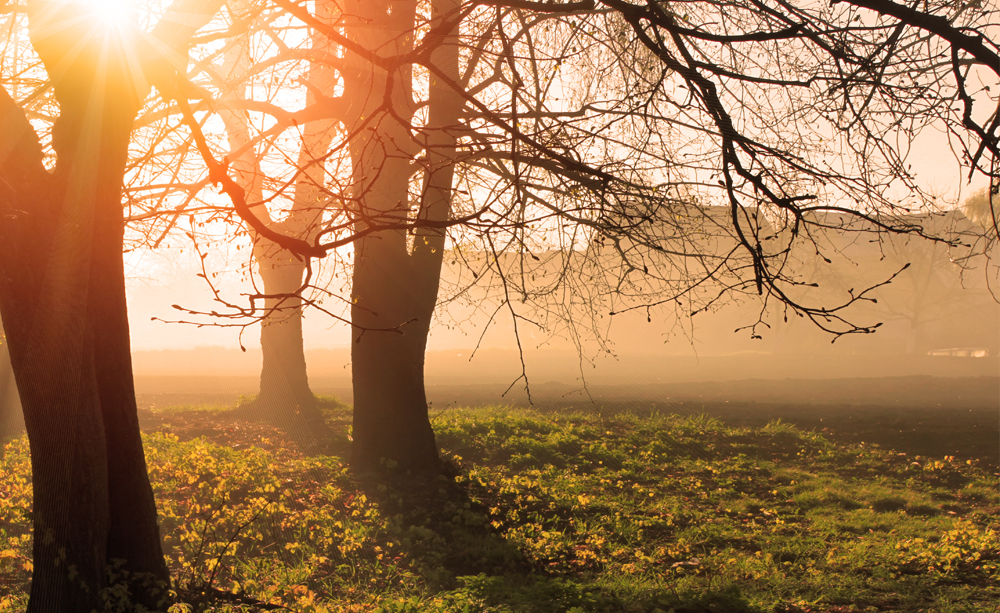 Samskaras : Yoga Shanti